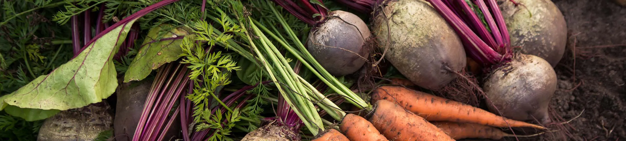 Breuss : Tout savoir sur l'actif.